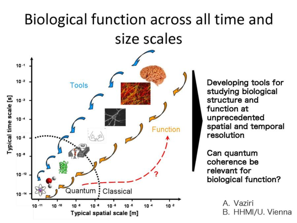 Quantum Biology: Part 1 – Nature-Made Quantum Sensors - Quantum Computing Report
